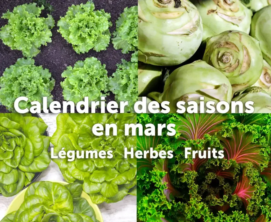 Calendrier des saisons en mars 2024 - ParaMediForm